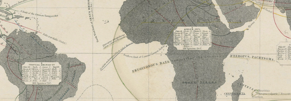 Zoological Geography. Carnivora (Carnivorous Animals) distribution 1856 map